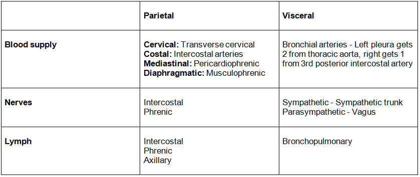 Anatomy of Thorax | DentMistry